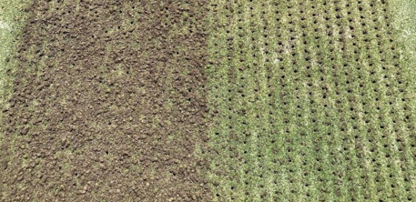 La sélection pointes et louchets ! | Mecagreen